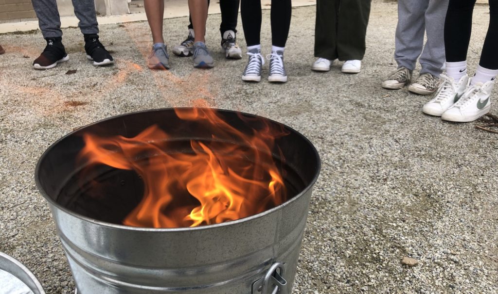 cetacean (the whale) – THE UNRELIABLE BESTIARY